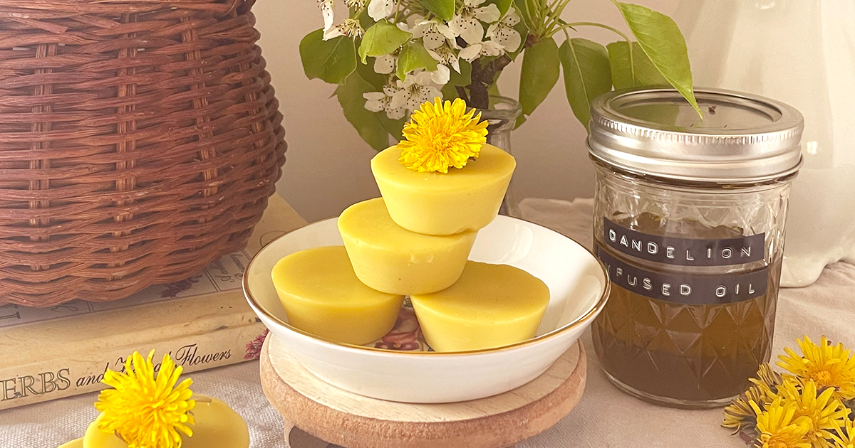 How to Make Dandelion Infused Oil - Jean Elle Home